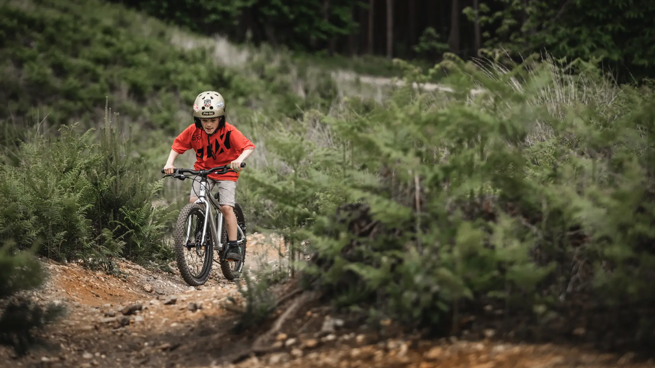 Velio bikes – Early Rider® US